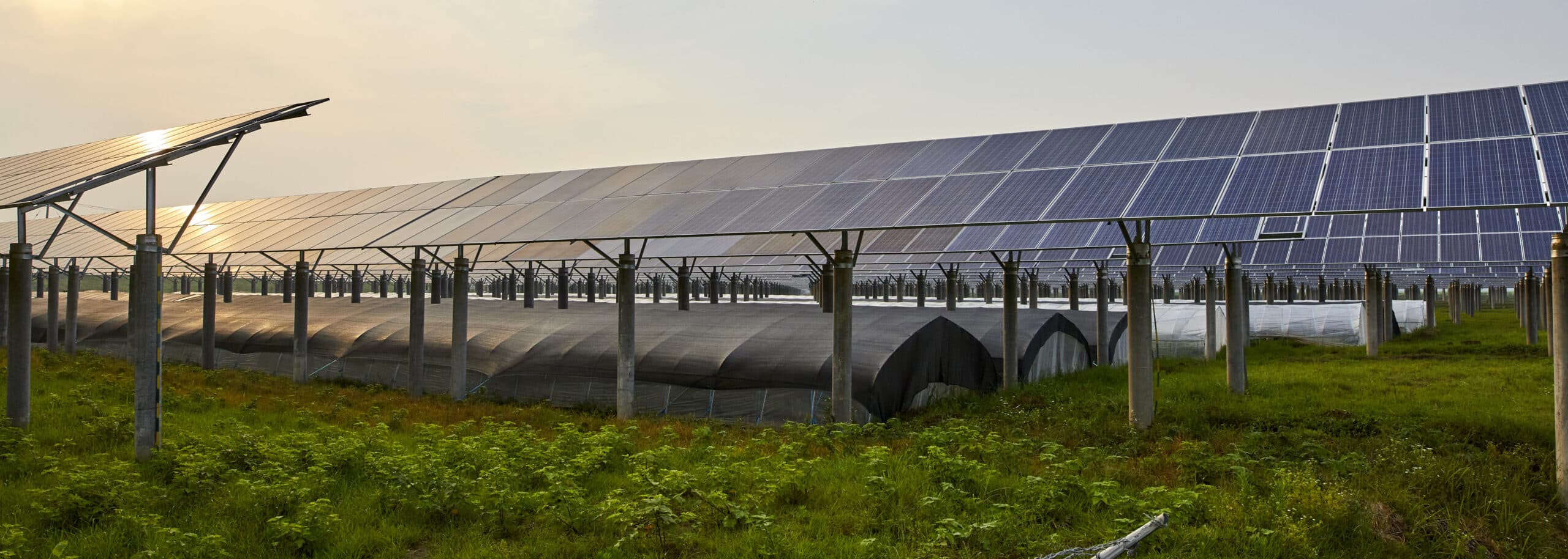 Solar for Cannabis Growers - Six Rivers Solar - Eureka, CA